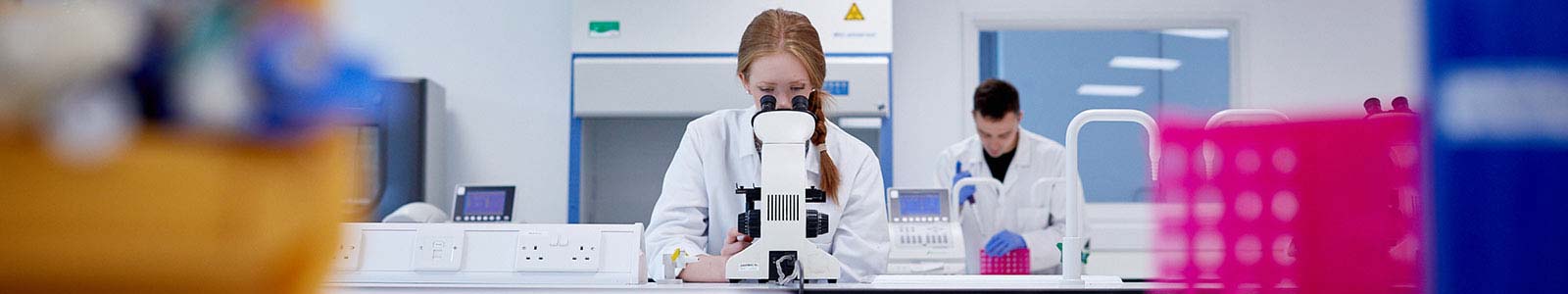 Next steps - Keele University